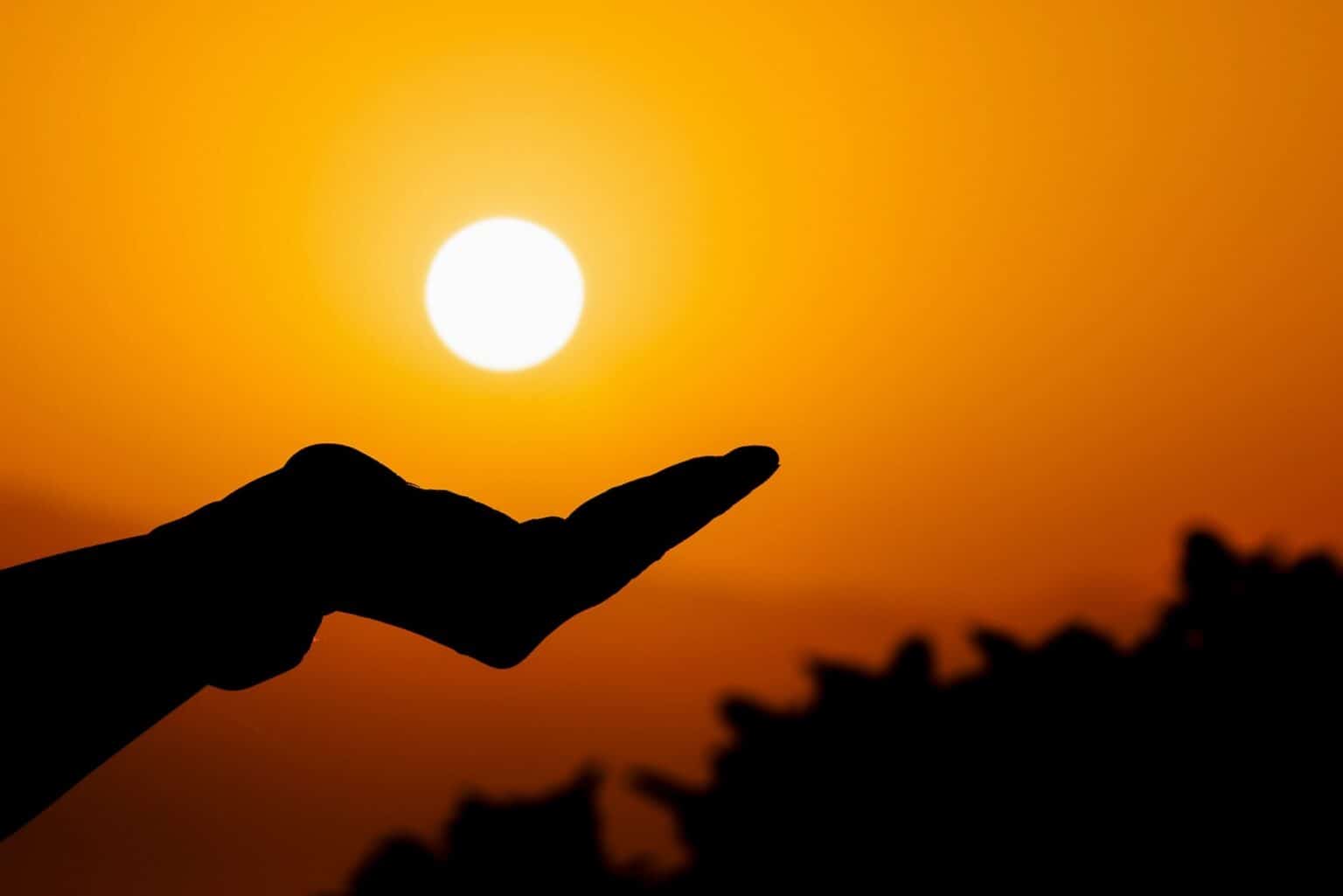 Kontrast in der Fotografie: Weit mehr als Licht und Schatten